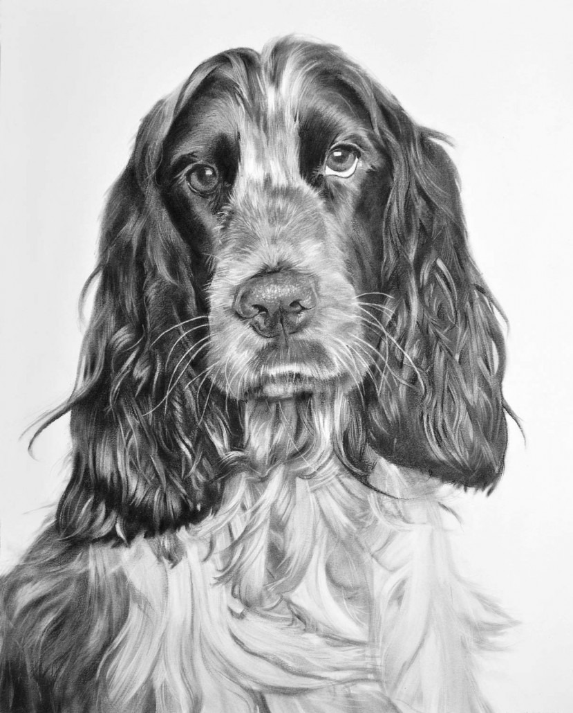 Dibujos a lápiz de Perros - Dibujos a Lápiz