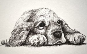 Dibujos a lápiz de Perros - Dibujos a Lápiz